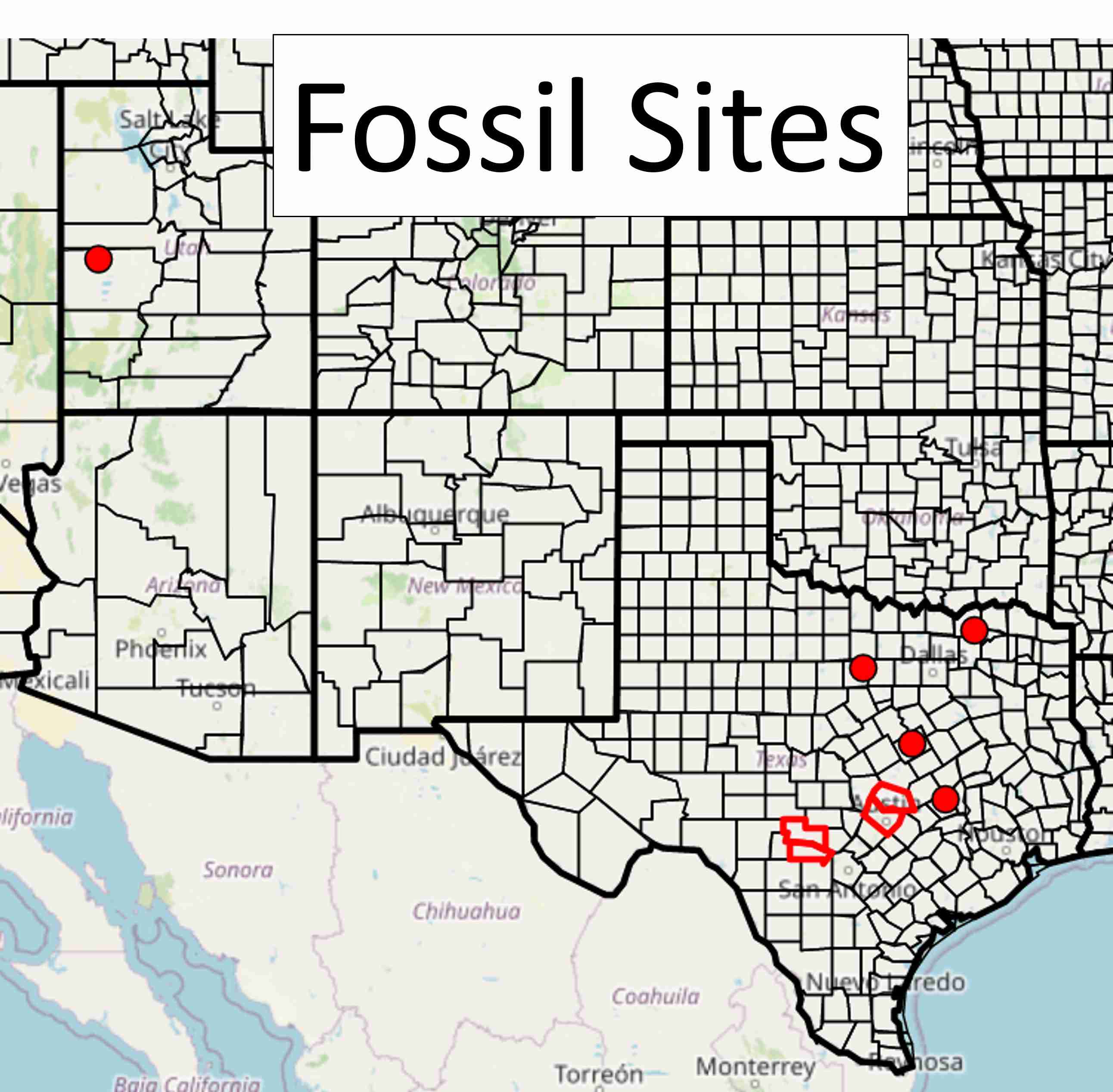 Texas and U.S. Geology Database